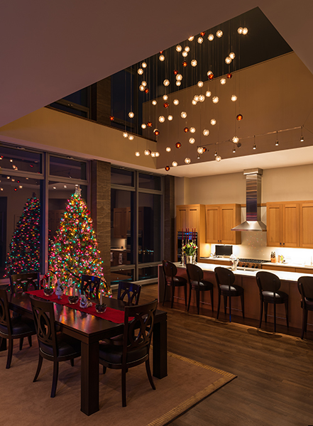 PureEdge Lighting - Bubble Ball LED 12VAC Fast Jack Pendant